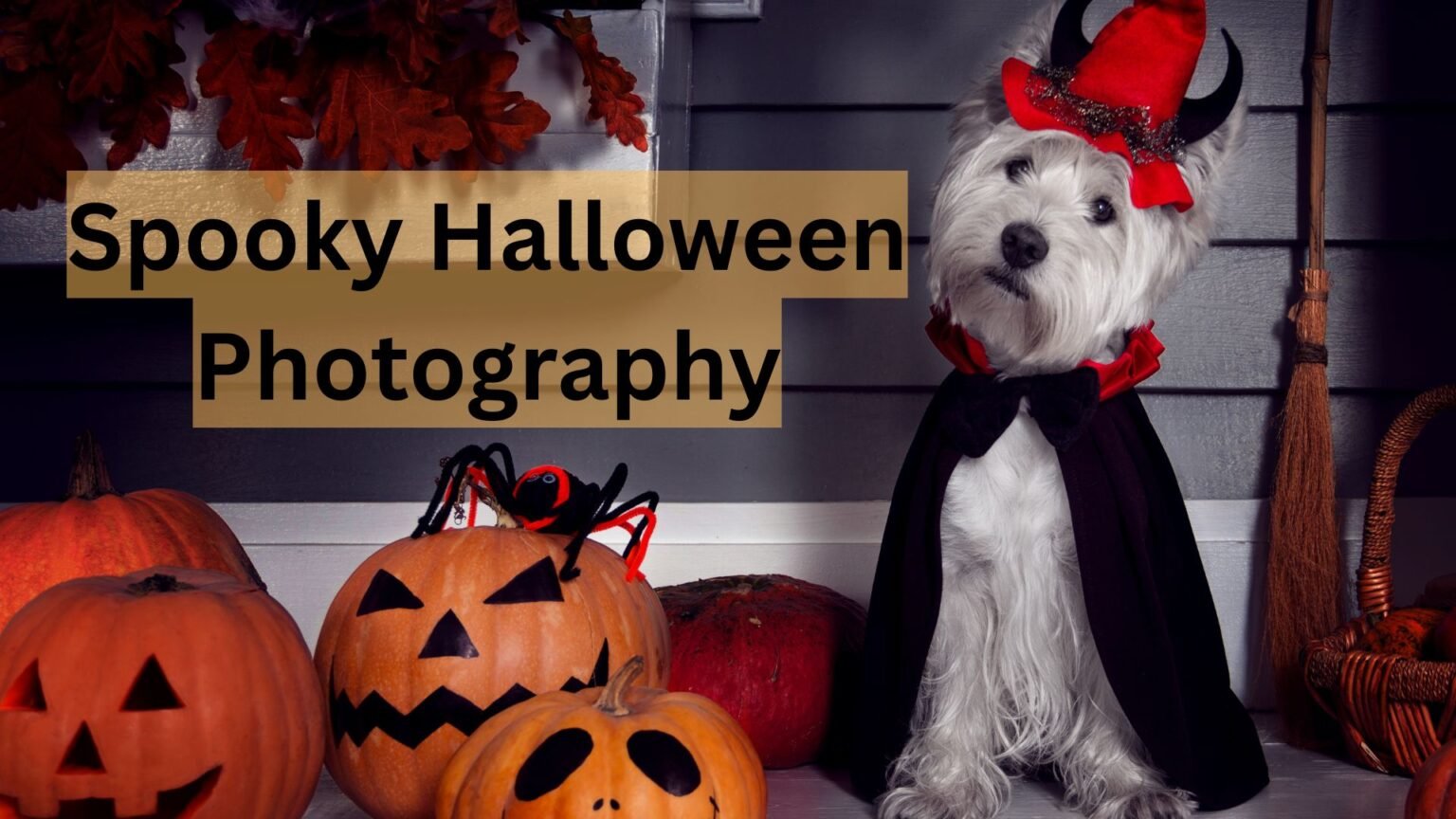 Spooky Halloween Photography Ideas for 2025 | (New)